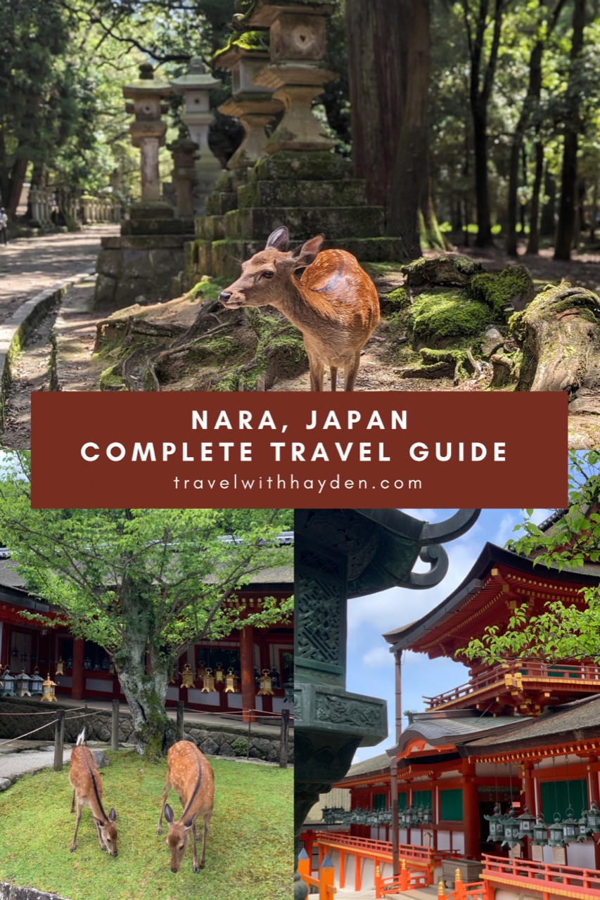 Nara Travel Guide-Complete Guide to Visiting Nara, Japan