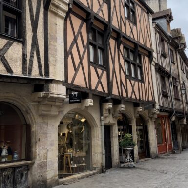 Dijon, France Complete Travel Guide-Tips for Visiting & More!