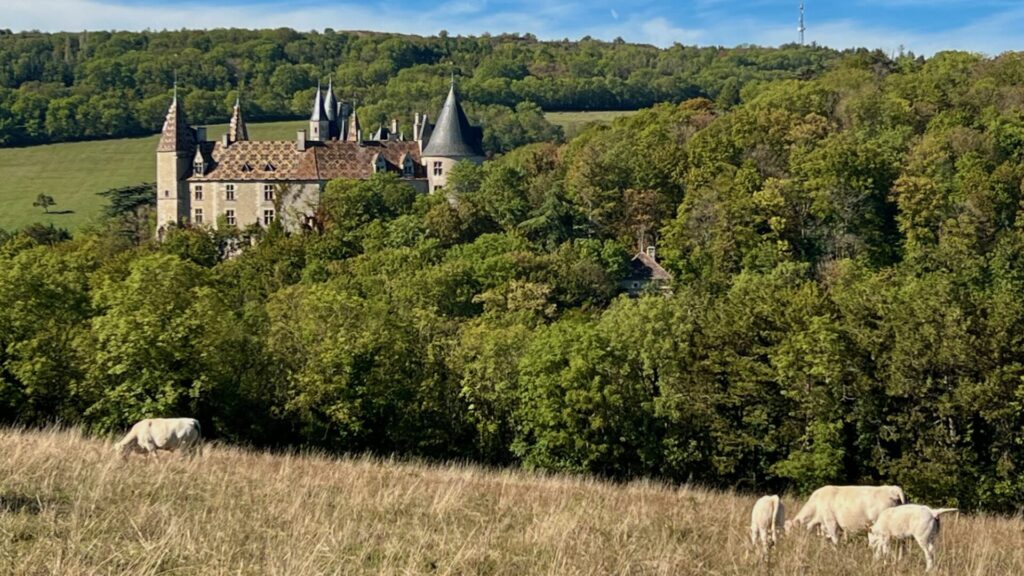 France Ultimate Travel Guide-Things to Do, Tips & More!