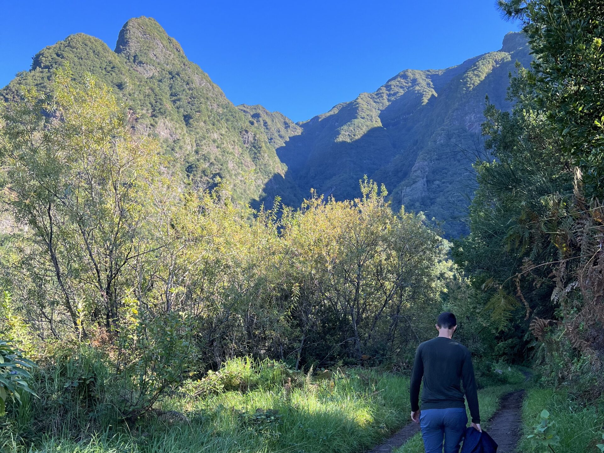 25 Best Things to Do in Madeira-Hidden Gems & Tourist Spots