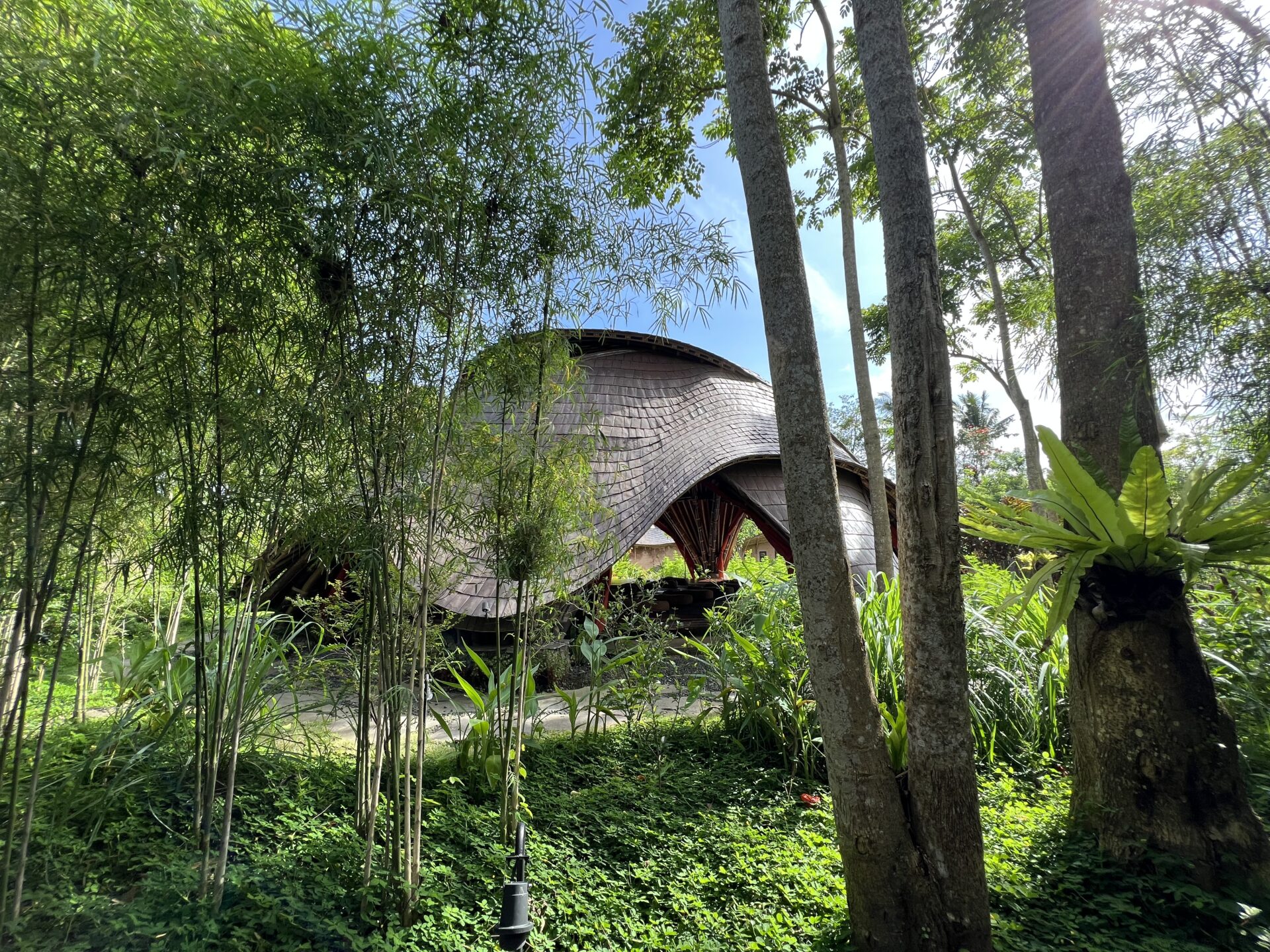 Ubud Bali Complete Travel Guide-Best Things to Do, Stay & More!