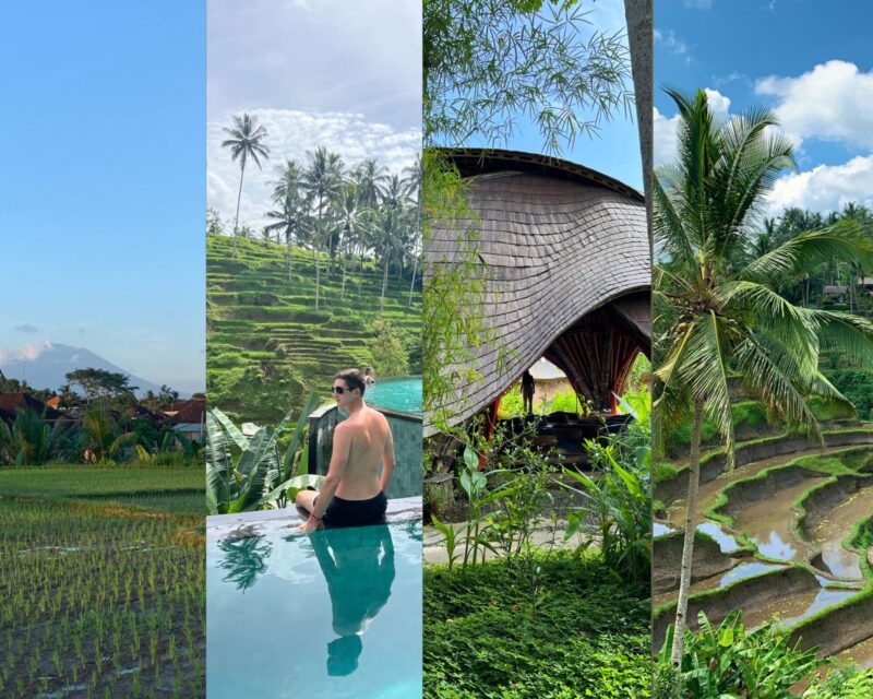 Ubud Bali Complete Travel Guide-Best Things to Do, Stay & More!