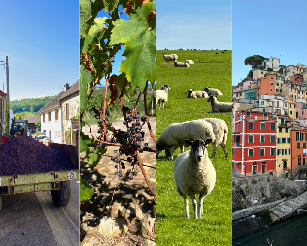 Best Places to Visit in Europe this Autumn-Fall Travel Destinations