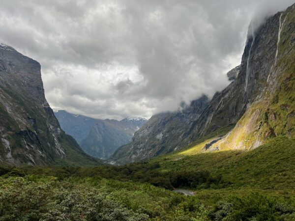 Fiordland National Park Travel Guide: Best Things to Do, Hikes, Tips ...
